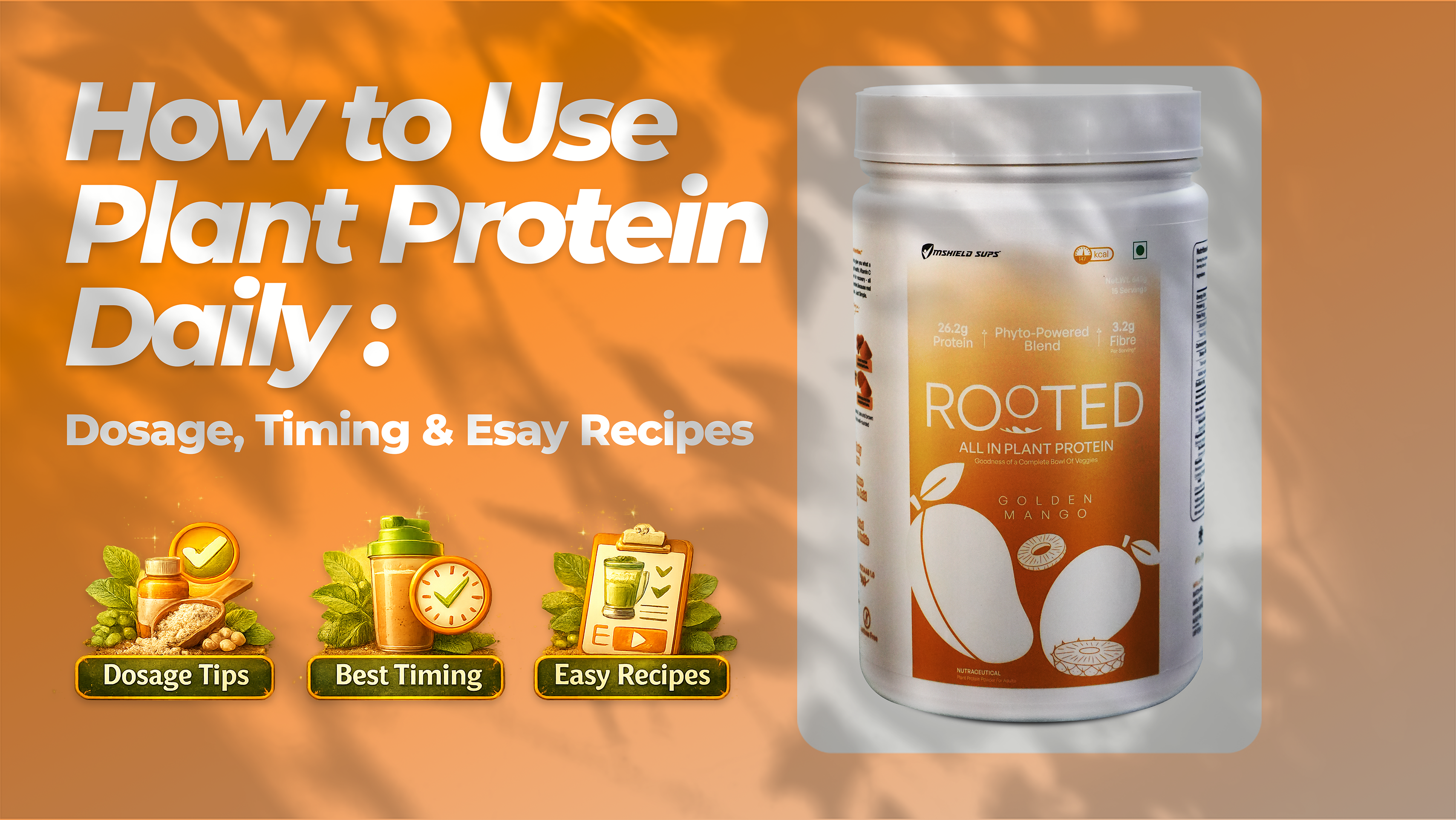 How to Use Plant Protein Powder Daily Guide & Tips – MSHIELD